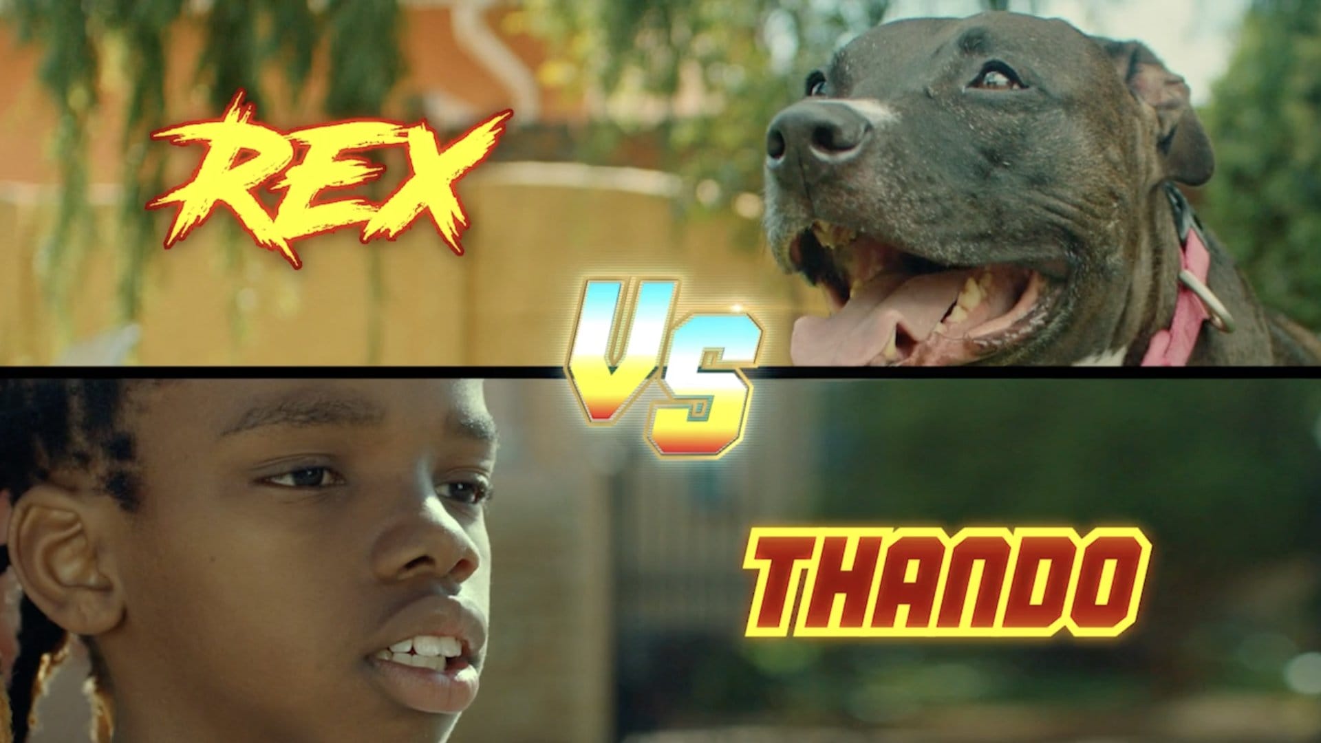 Black Cat: Peanut Power • Spitfire.tv