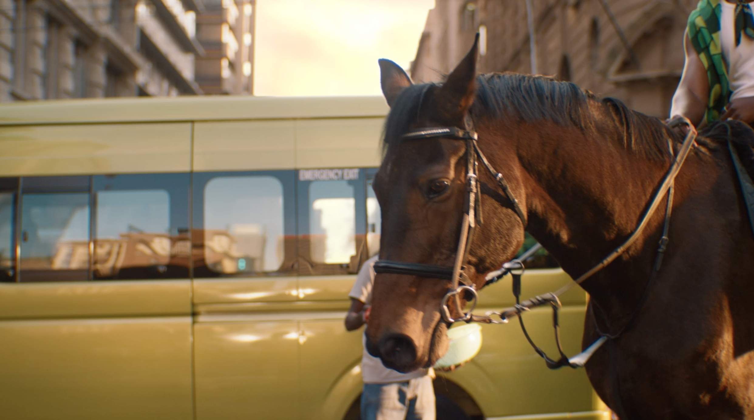 Spitfire Animal Reel • Spitfire.tv